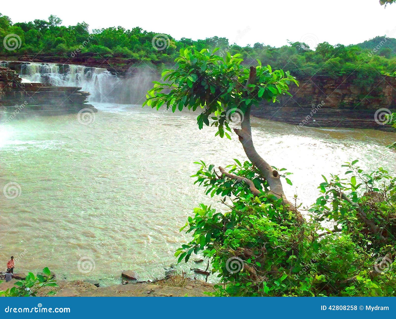 Waterfall stock photo. Image of madhya, sagar, rahatgarh - 42808258
