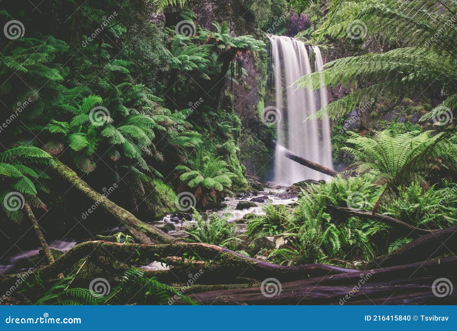 Beautiful Rainforest Green Extra Marble Texture In Modern Dark Colors ...