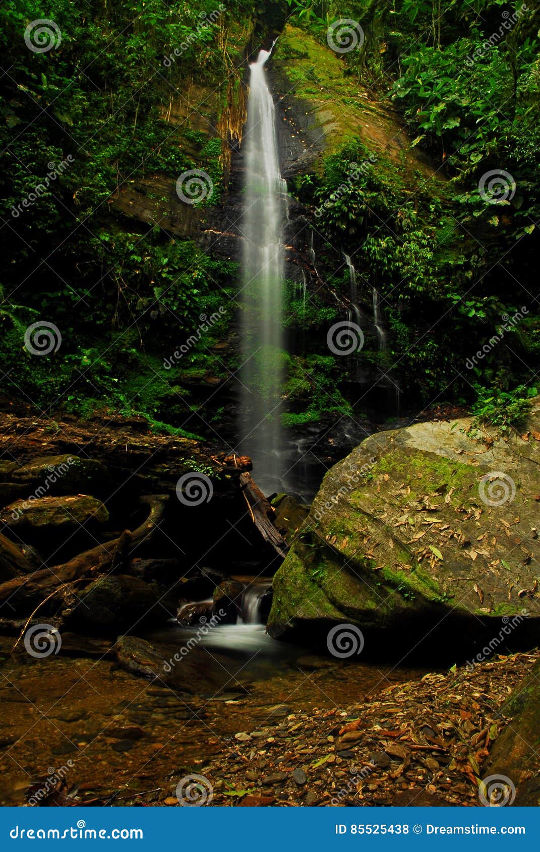 Waterfall stock photo. Image of brook, secluded, stream - 85525438