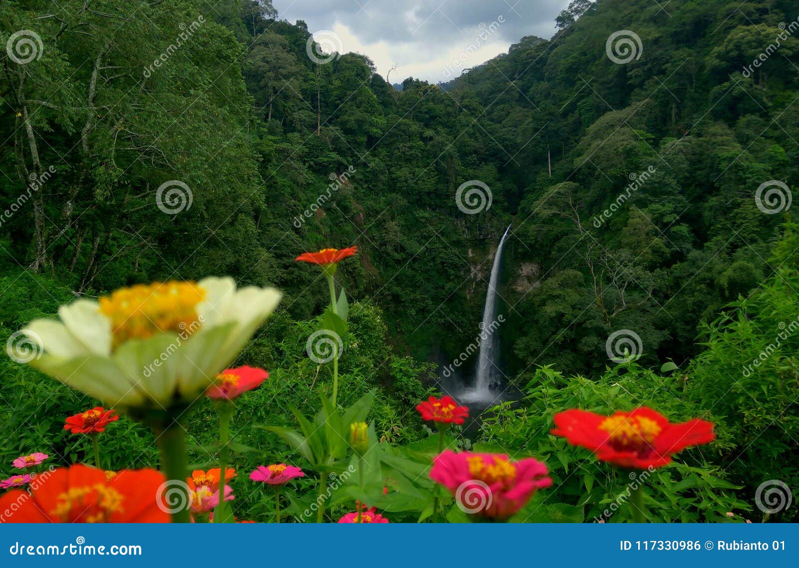 Waterfall Beauty Coban Pelangi Stock Photo - Image of malang, coban ...