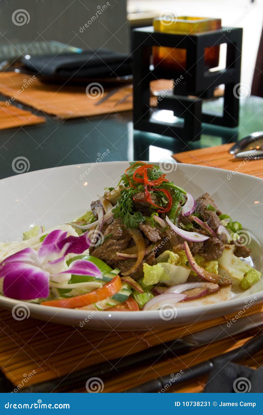 Waterfall Beef Salad stock image. Image of bamboo, asian - 10738231
