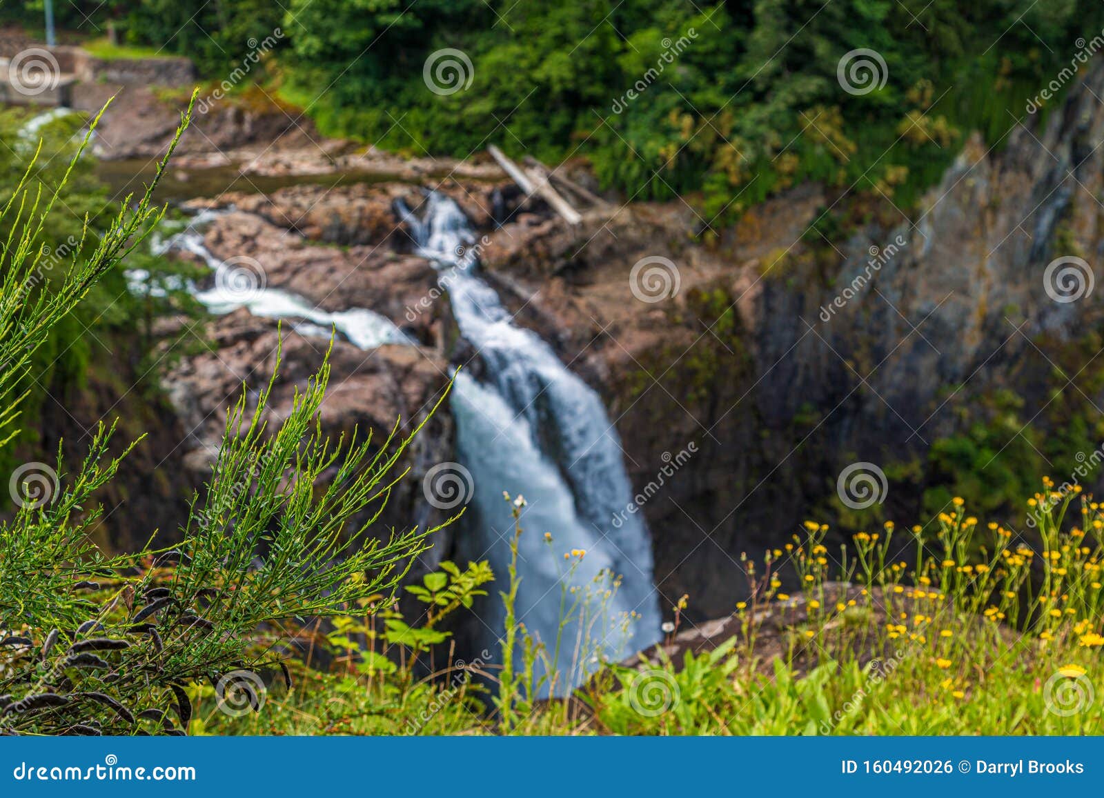 Waterfall Beyond Greenery stock photo. Image of stream - 160492026