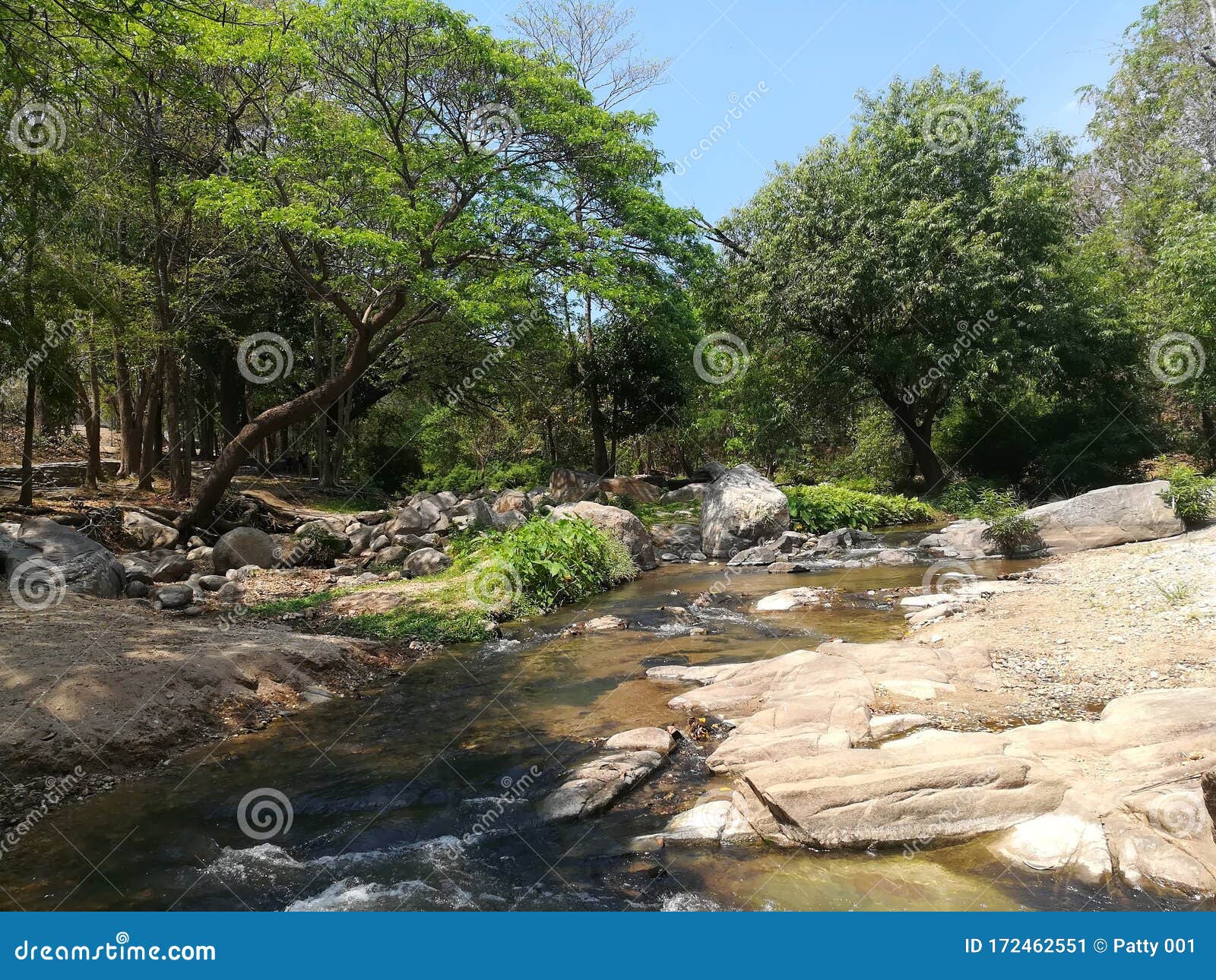 Waterfall and the Big Trees that Occur Naturally Beautiful.the Rocks ...