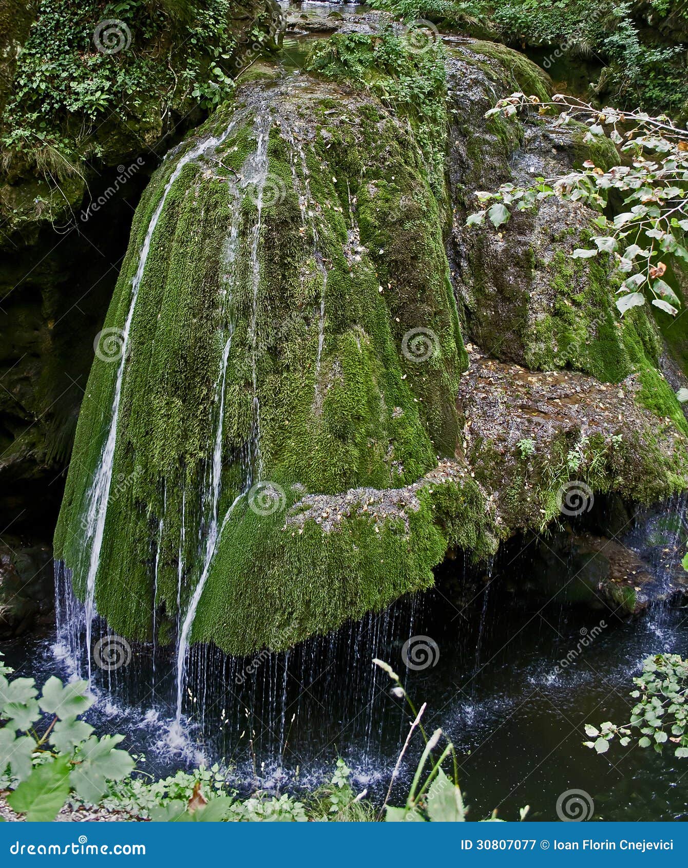 Waterfall Bigar stock image. Image of potherb, system - 30807077