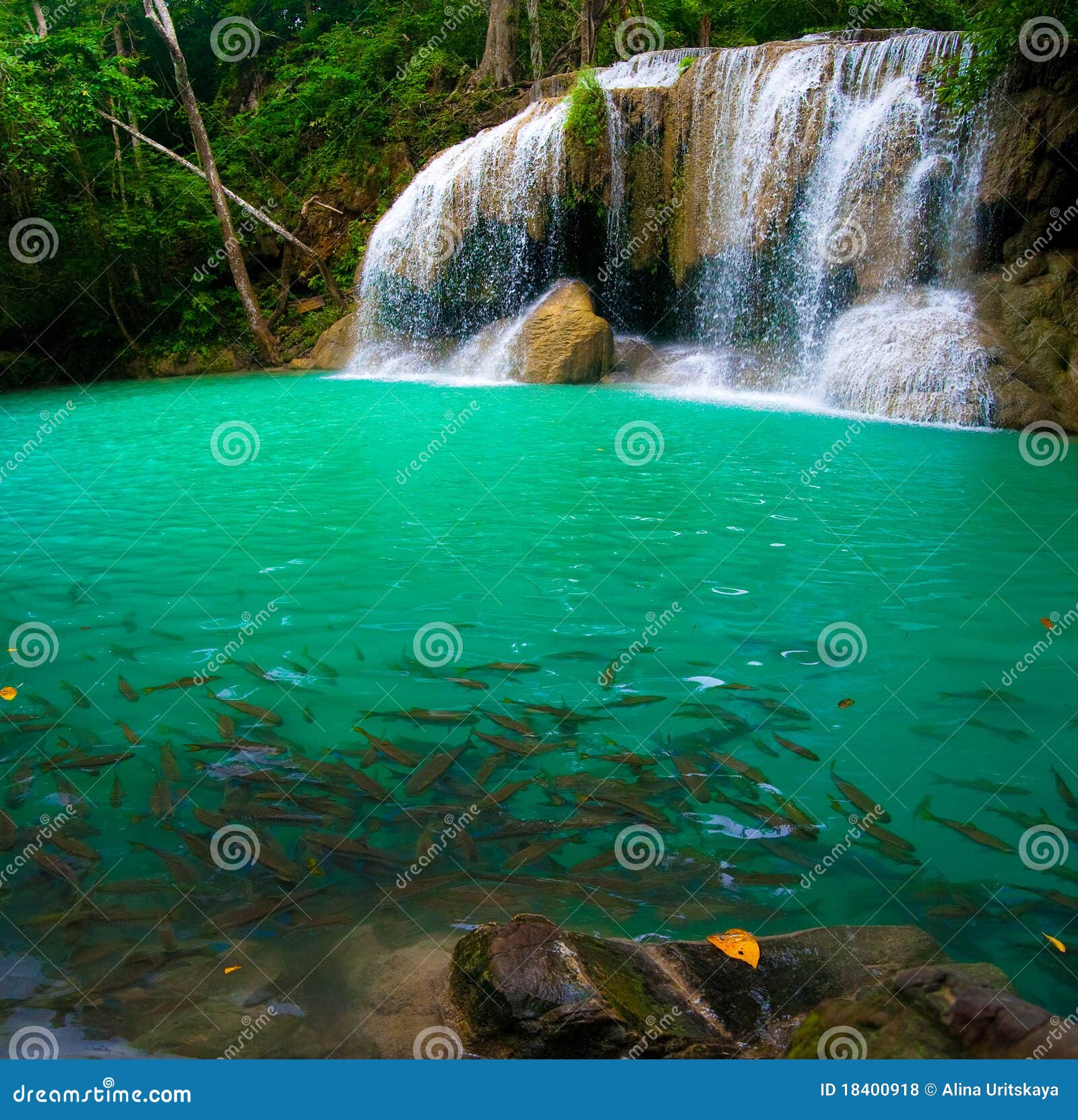 Waterfall And A Blue Pool With Fish Royalty-Free Stock Image ...