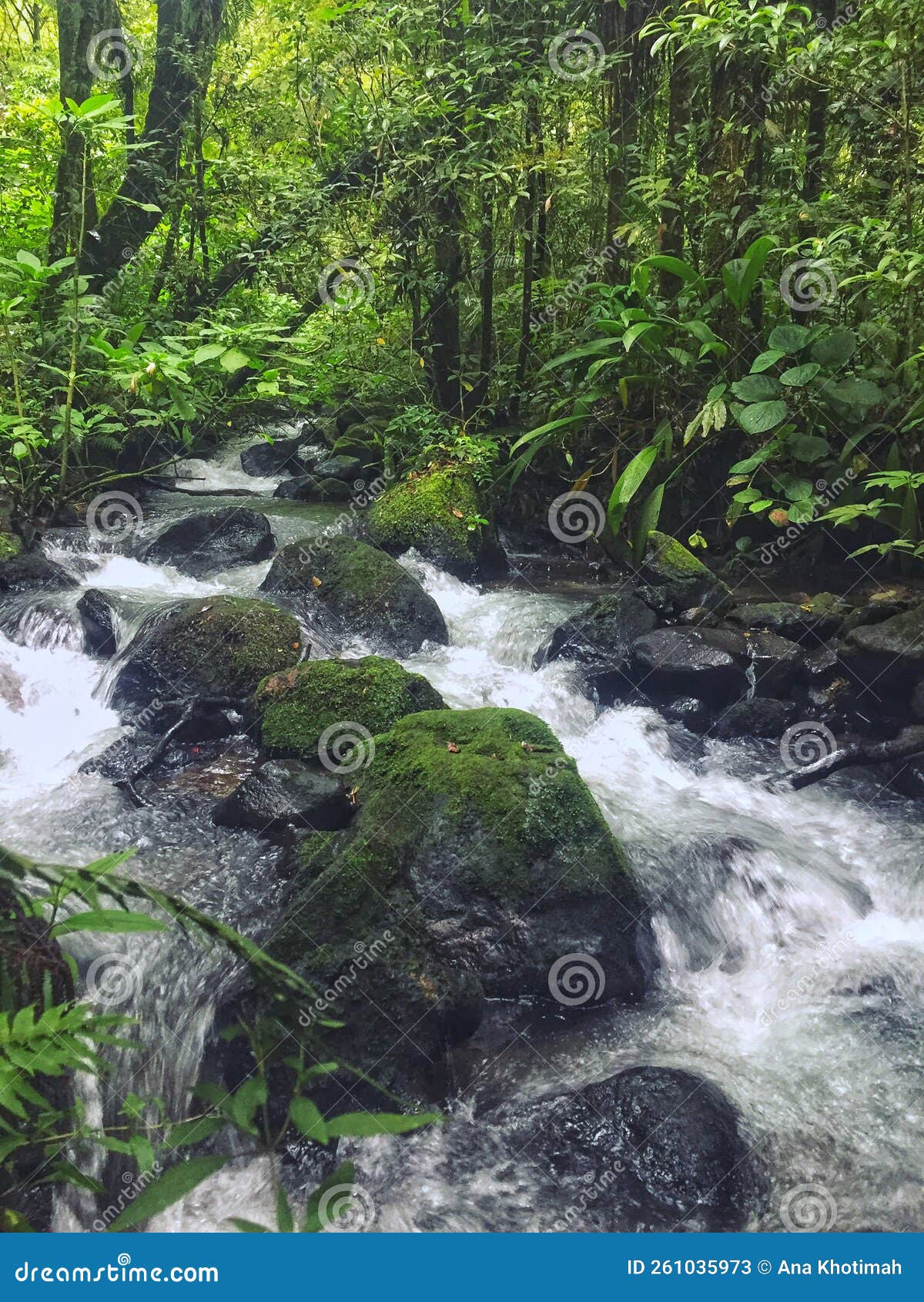 Waterfall in Bogor, West Java, Namely Curug Cibeureum Stock Image ...