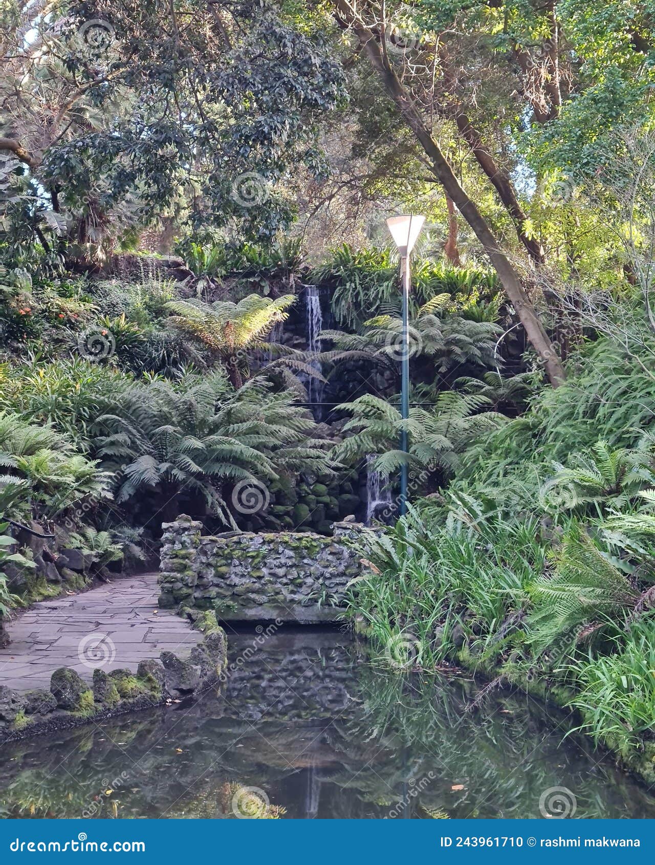 Waterfall in the Botanical Garden Stock Photo - Image of watercourse ...