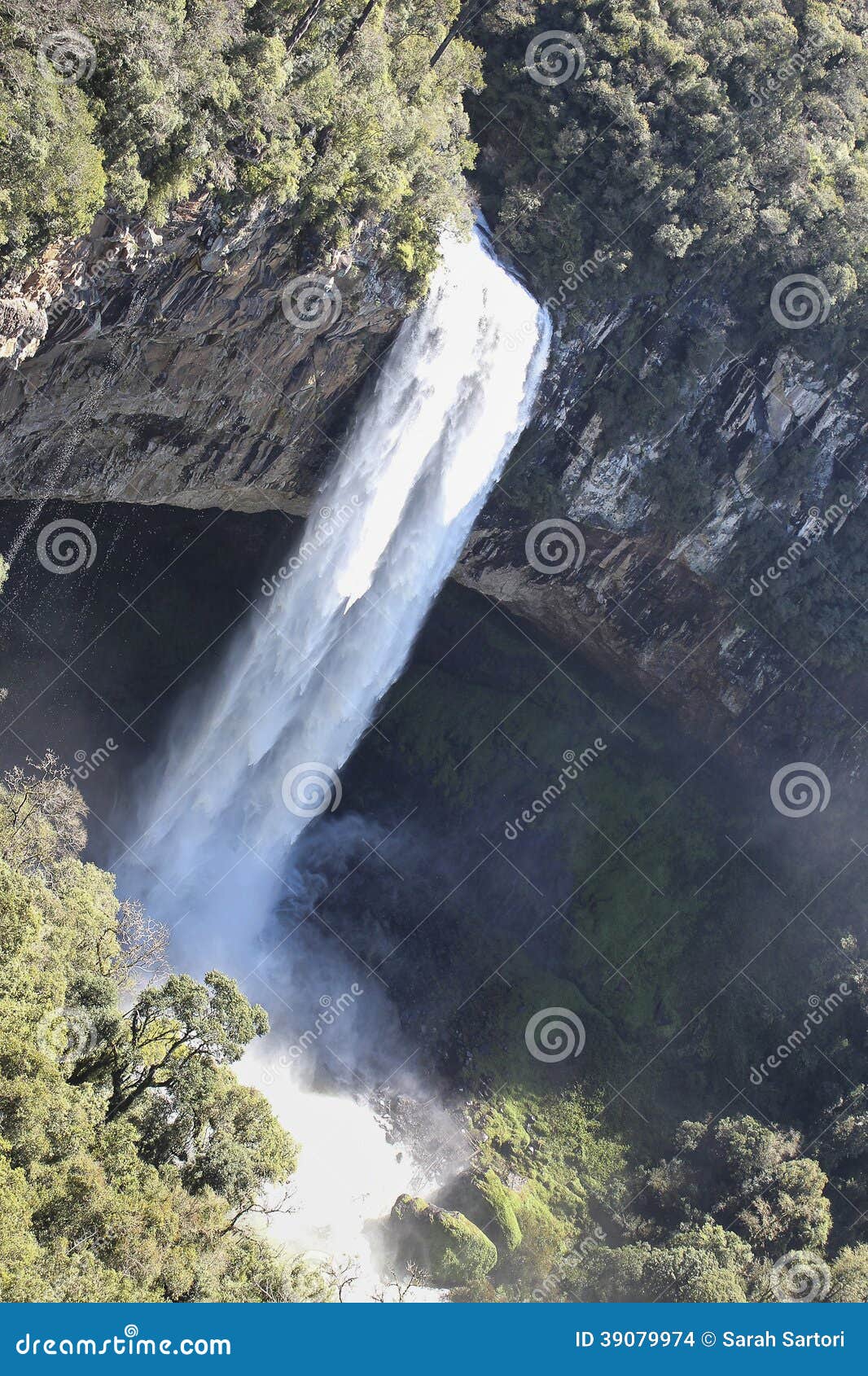 Waterfall stock photo. Image of brasil, nature, paradise - 39079974