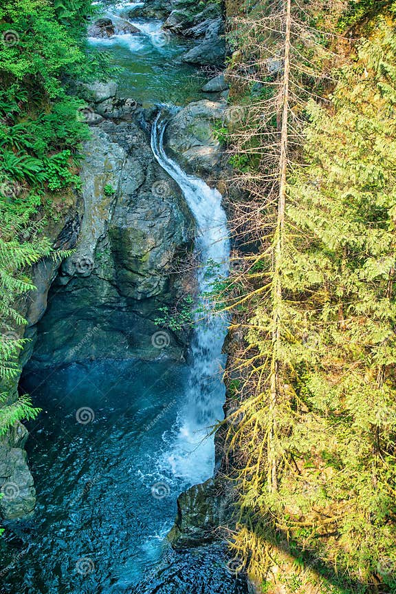 Waterfall in British Columbia Forest, Canada Stock Image - Image of ...