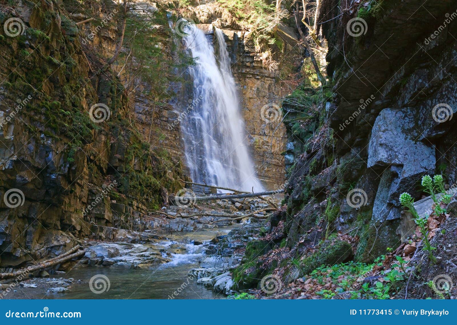 Waterfall and Brook in Mountain Forest Ravine Stock Image - Image of ...