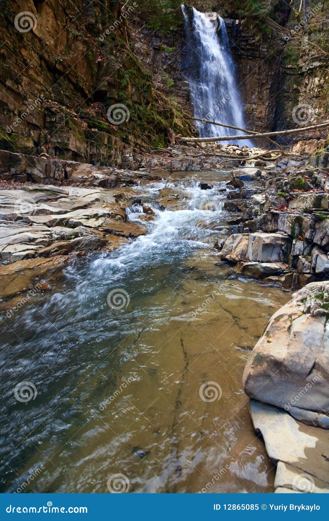 Waterfall and Brook in Mountain Forest Ravine Stock Image - Image of ...