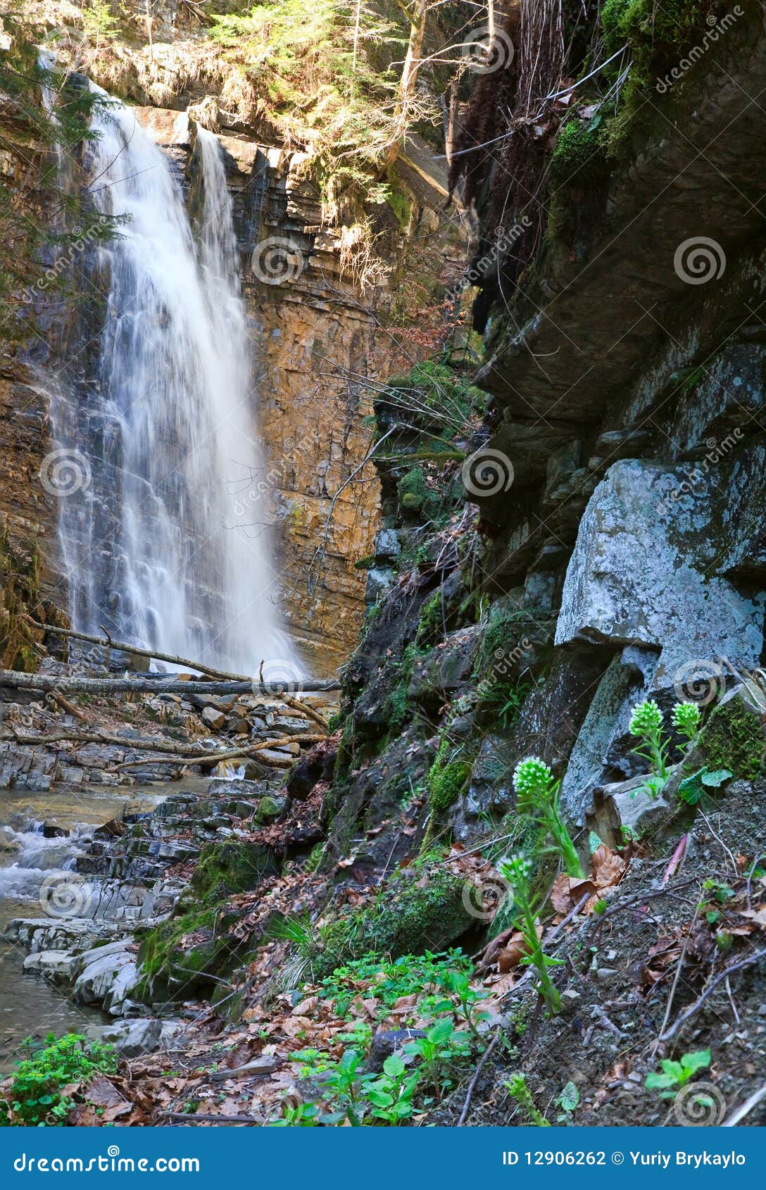 Waterfall and Brook in Mountain Forest Ravine Stock Photo - Image of ...
