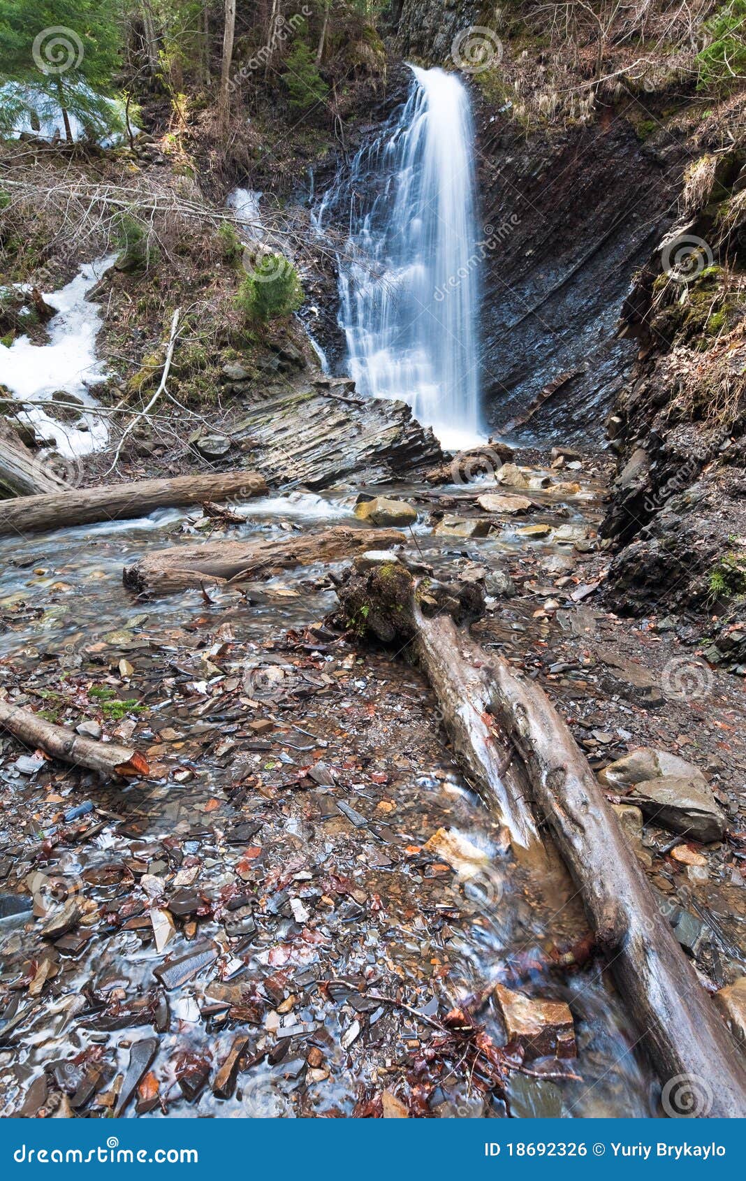 Waterfall and Brook in Mountain Forest Ravine Stock Photo - Image of ...