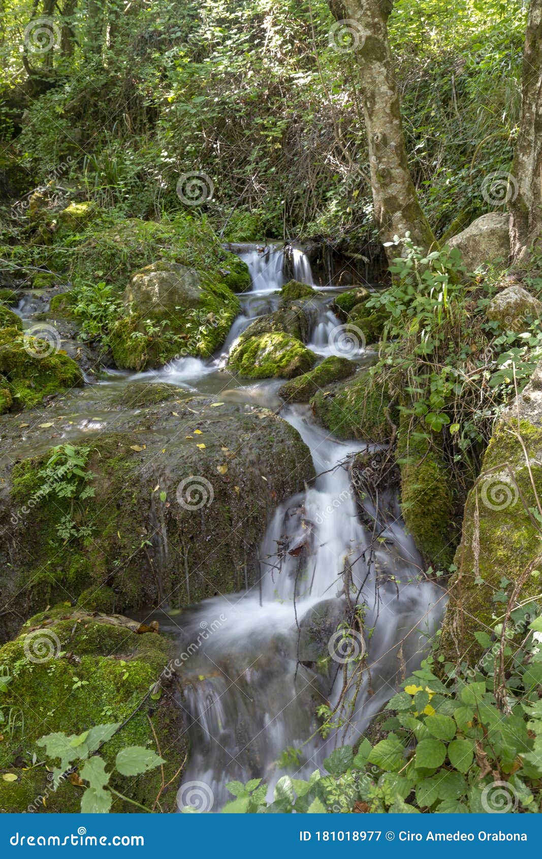 Waterfall brook stock image. Image of fall, nature, outdoor - 181018977