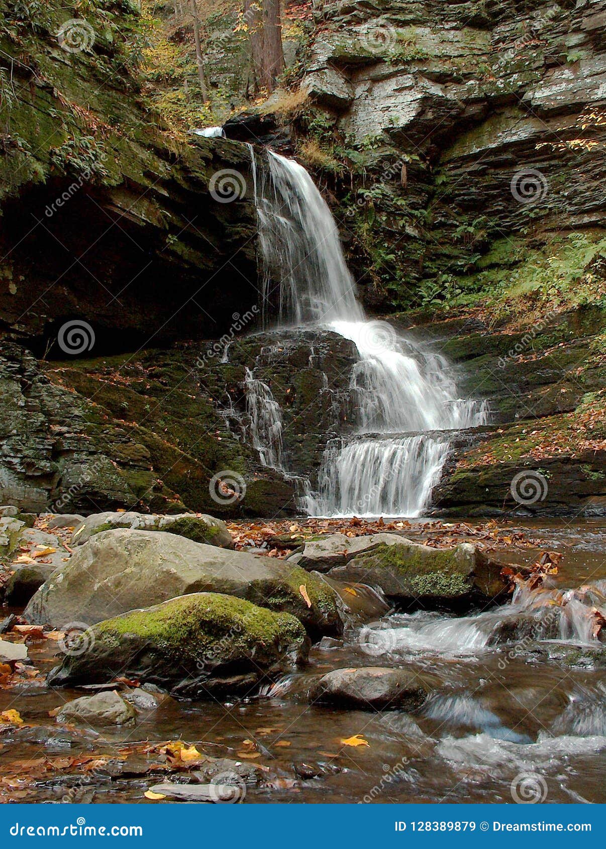 Waterfall at Bushkill Falls PA. Stock Image - Image of natural, beauty ...