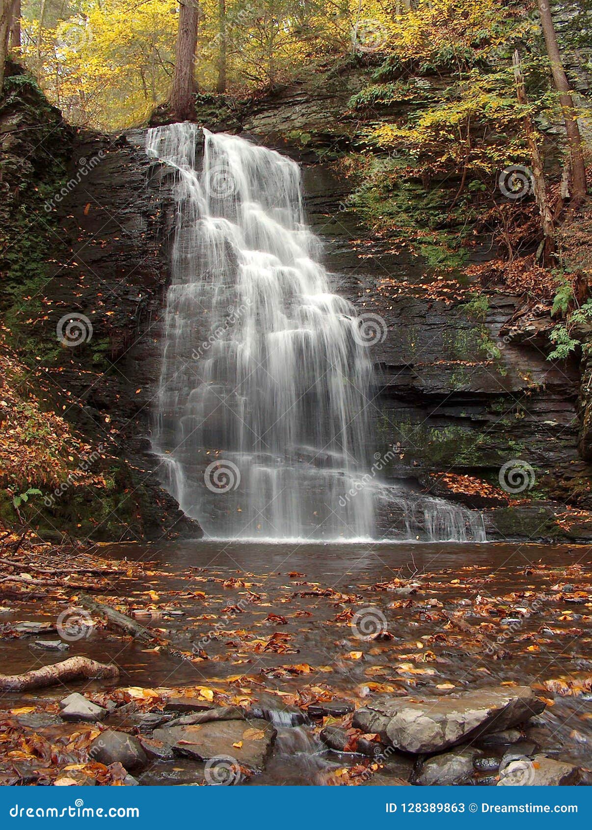 Waterfall at Bushkill Falls PA. Stock Image - Image of heaven, paradise ...
