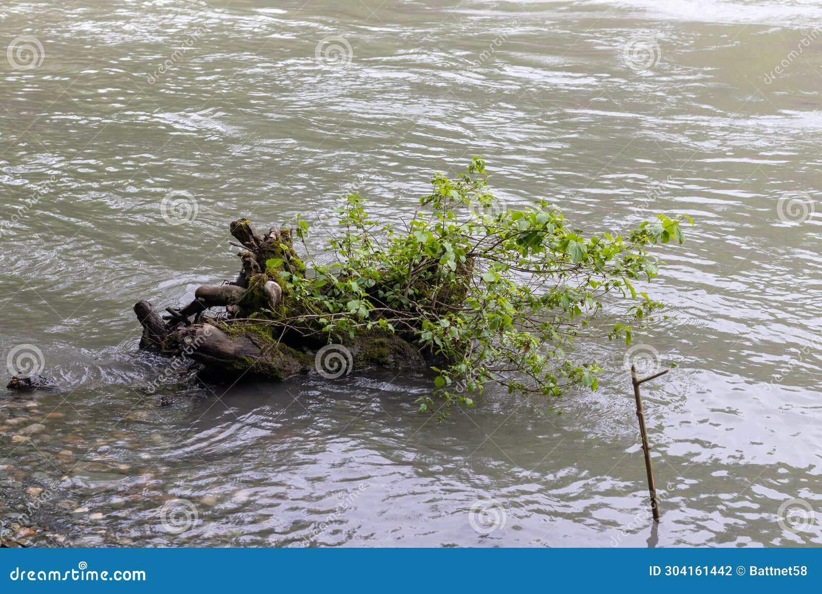 Waterfall and Canyon of a Mountain Stream, the Source of the Water ...