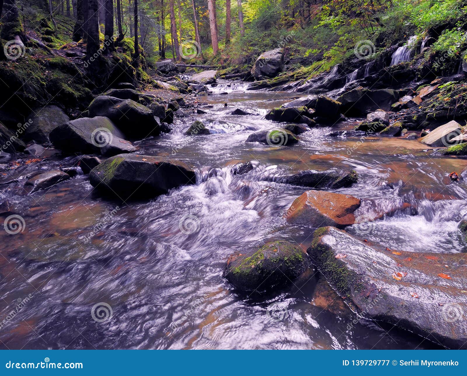 Waterfall at the Carpathian Forest Stock Image - Image of carpatian ...