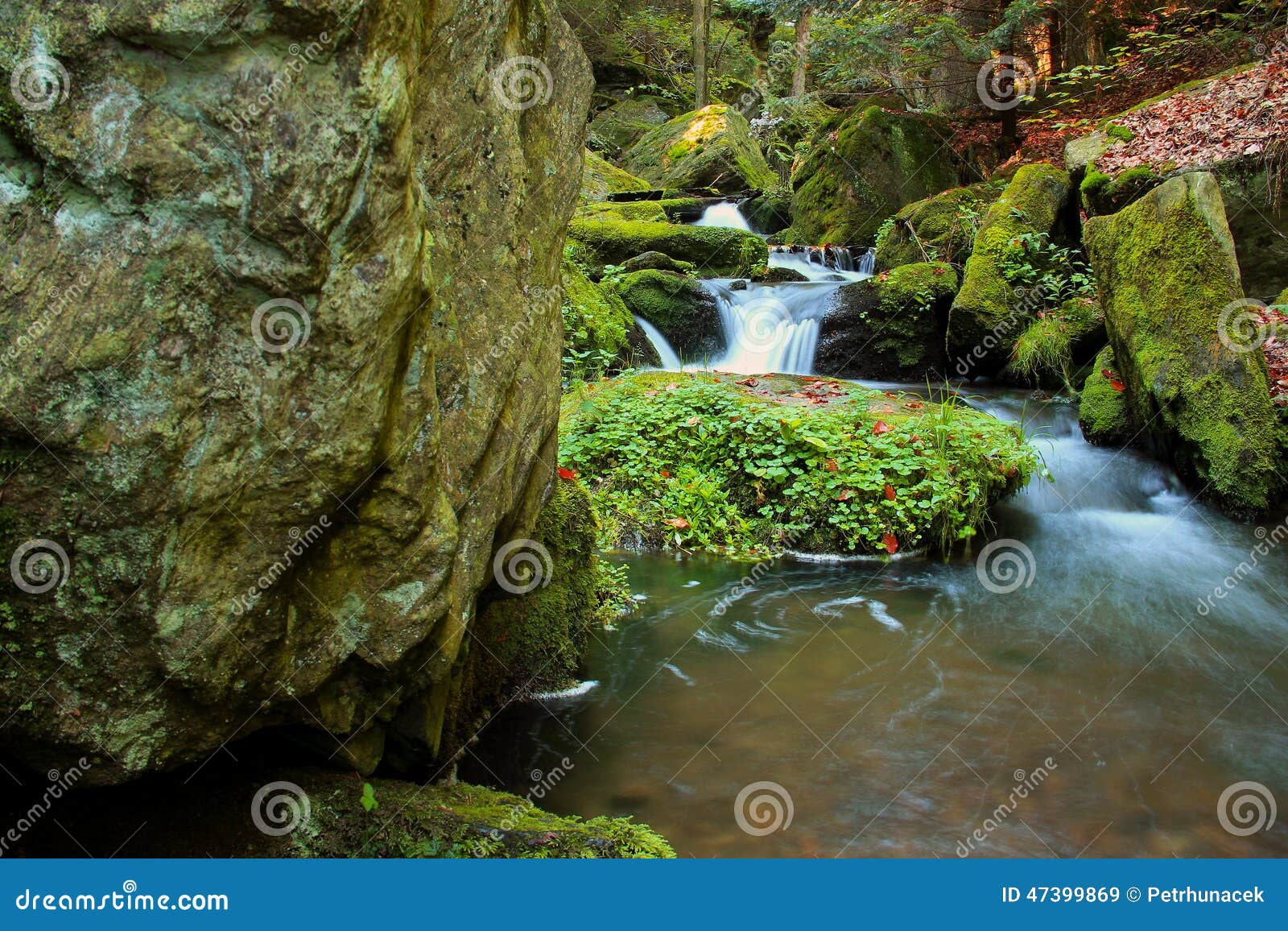Waterfall - Cascade in the Autumn Forest Stock Image - Image of cascade ...