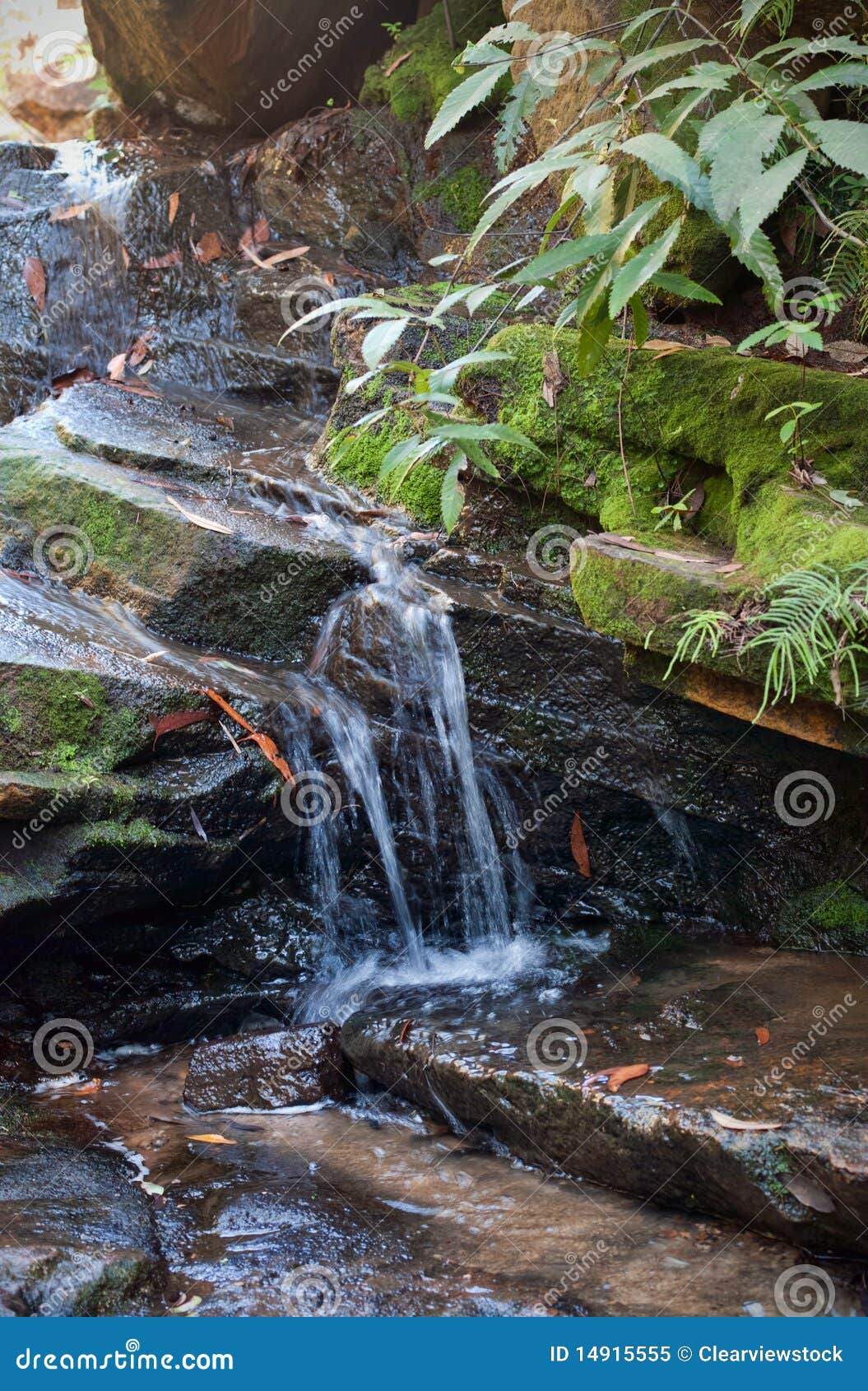 Waterfall Cascade in the Garden Stock Image - Image of gardening, creek ...