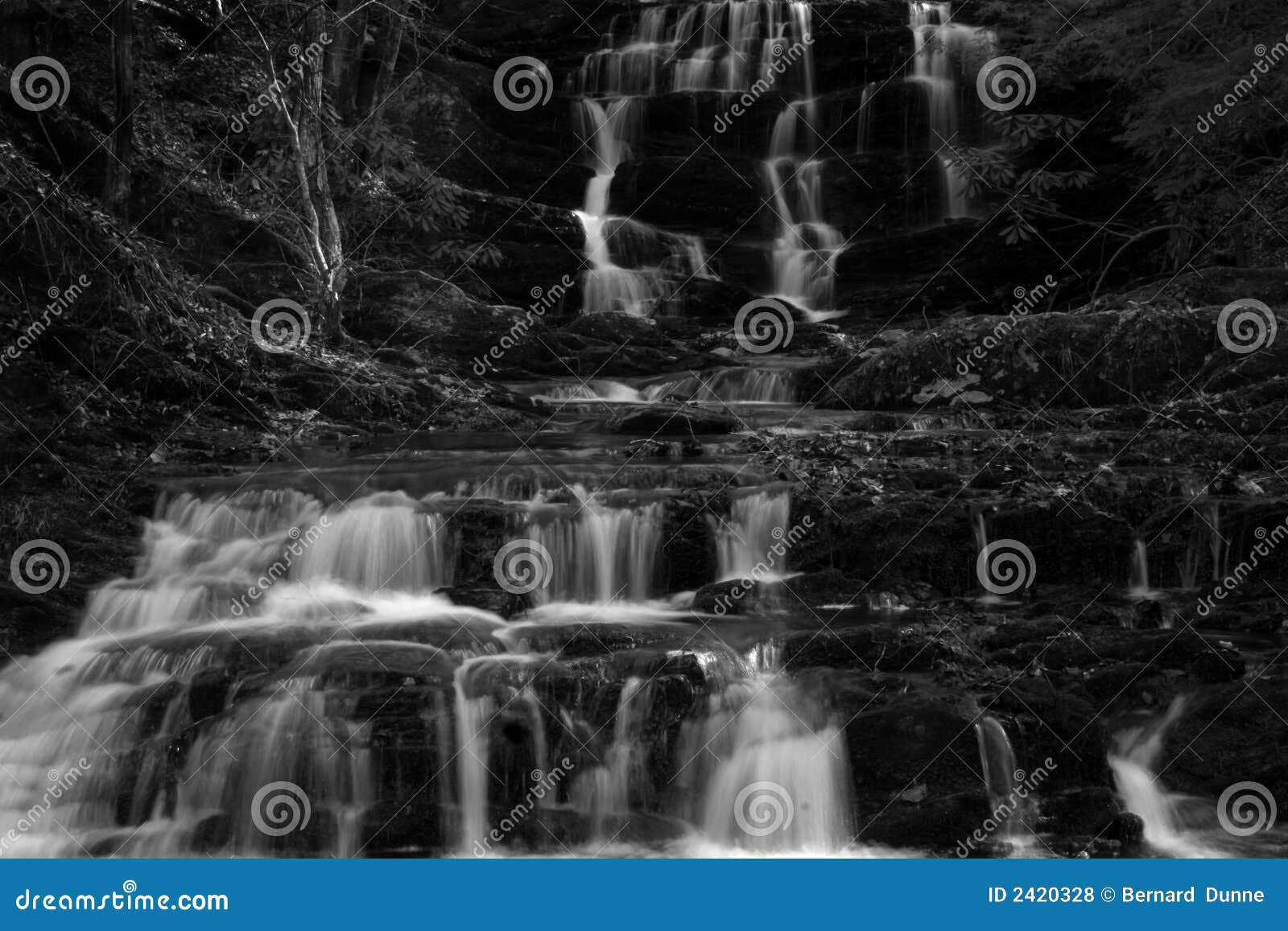 Waterfall Cascade In Tropical Rainforest With Couple In Love Bathing ...