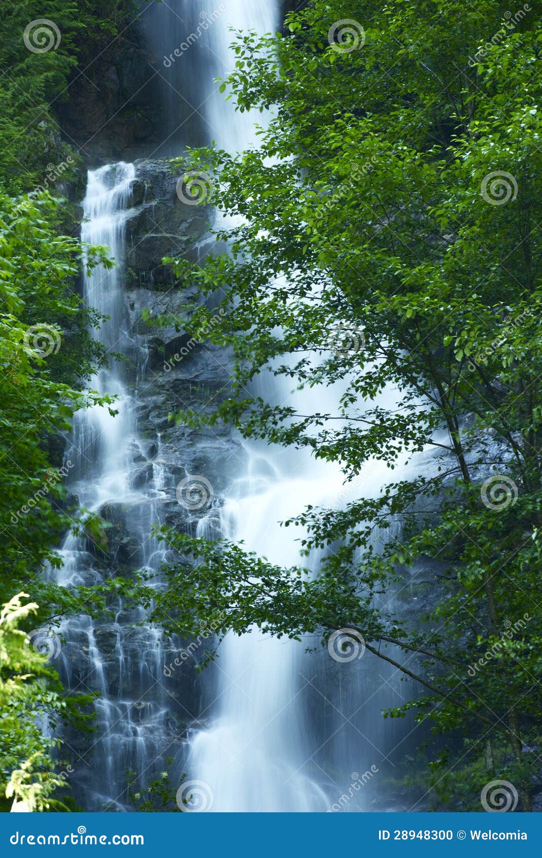 Waterfall in Cascades Mountains Stock Photo - Image of canyon, rocky ...