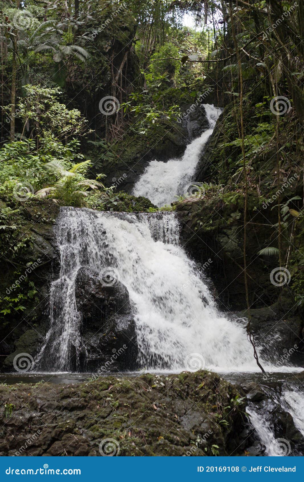 Waterfall Cascading Down through Rain Forest Stock Photo - Image of ...