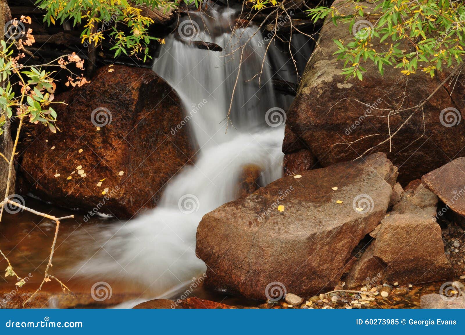 Cascading Down A Small Mountain Stream, The Water Runs Over Basalt ...