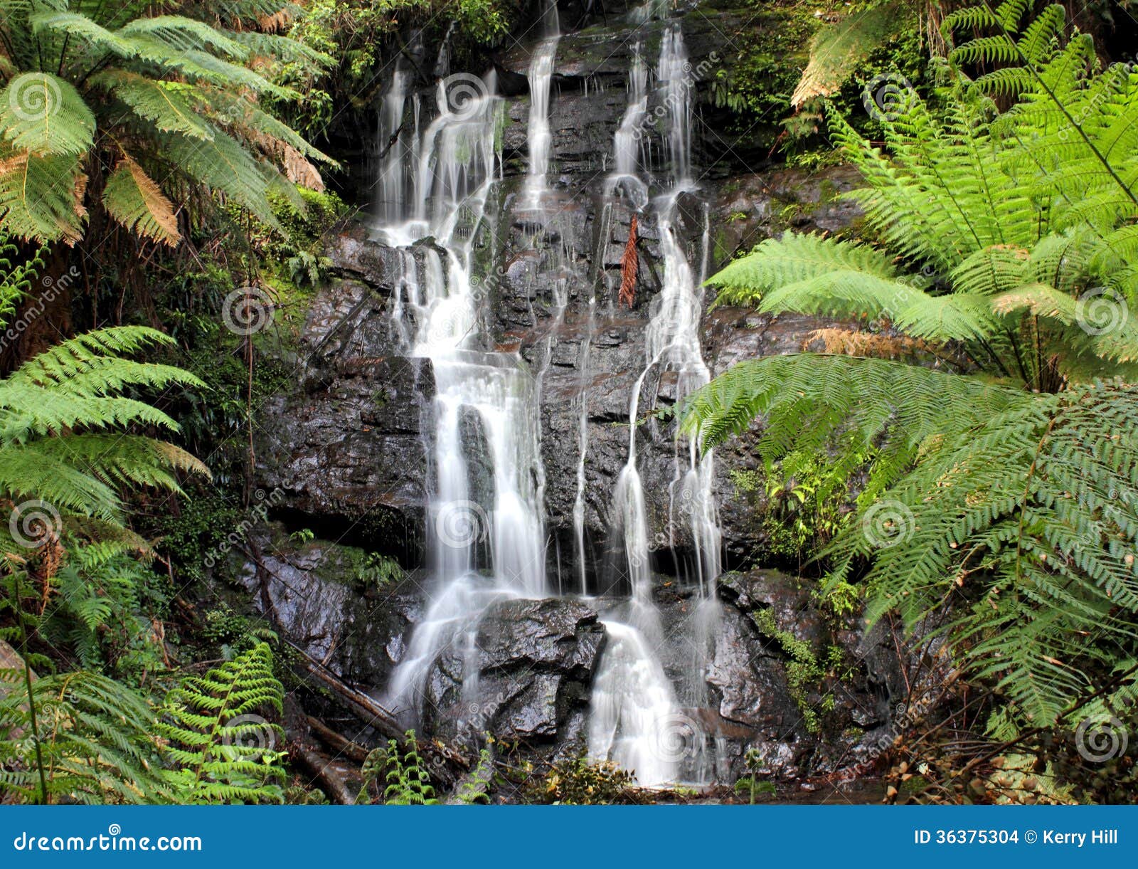 Waterfall Cascading Down Rocks Stock Photo - Image of leaves, cool ...