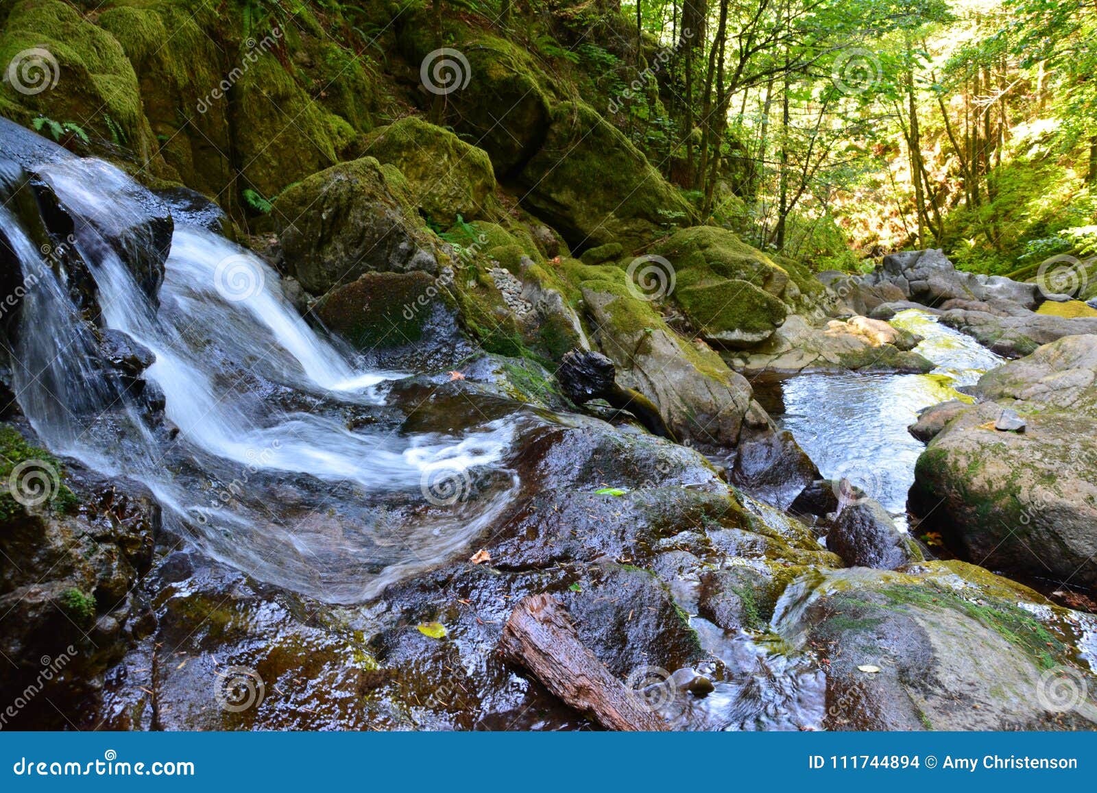 WATERFALL CASCADING DOWN stock photo. Image of environment - 111744894