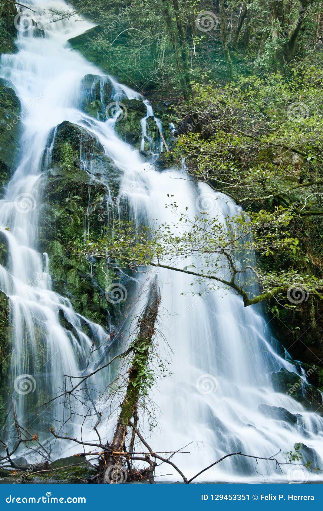 Cascading Waterfall stock image. Image of flowing, summer - 129453351