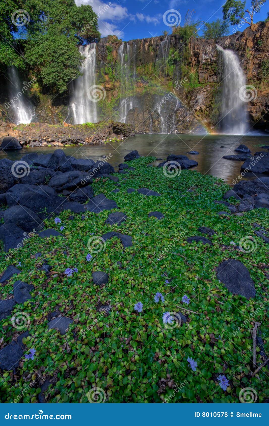 Waterfall Chute de la Lily fotografia stock. Immagine di fiume - 8010578