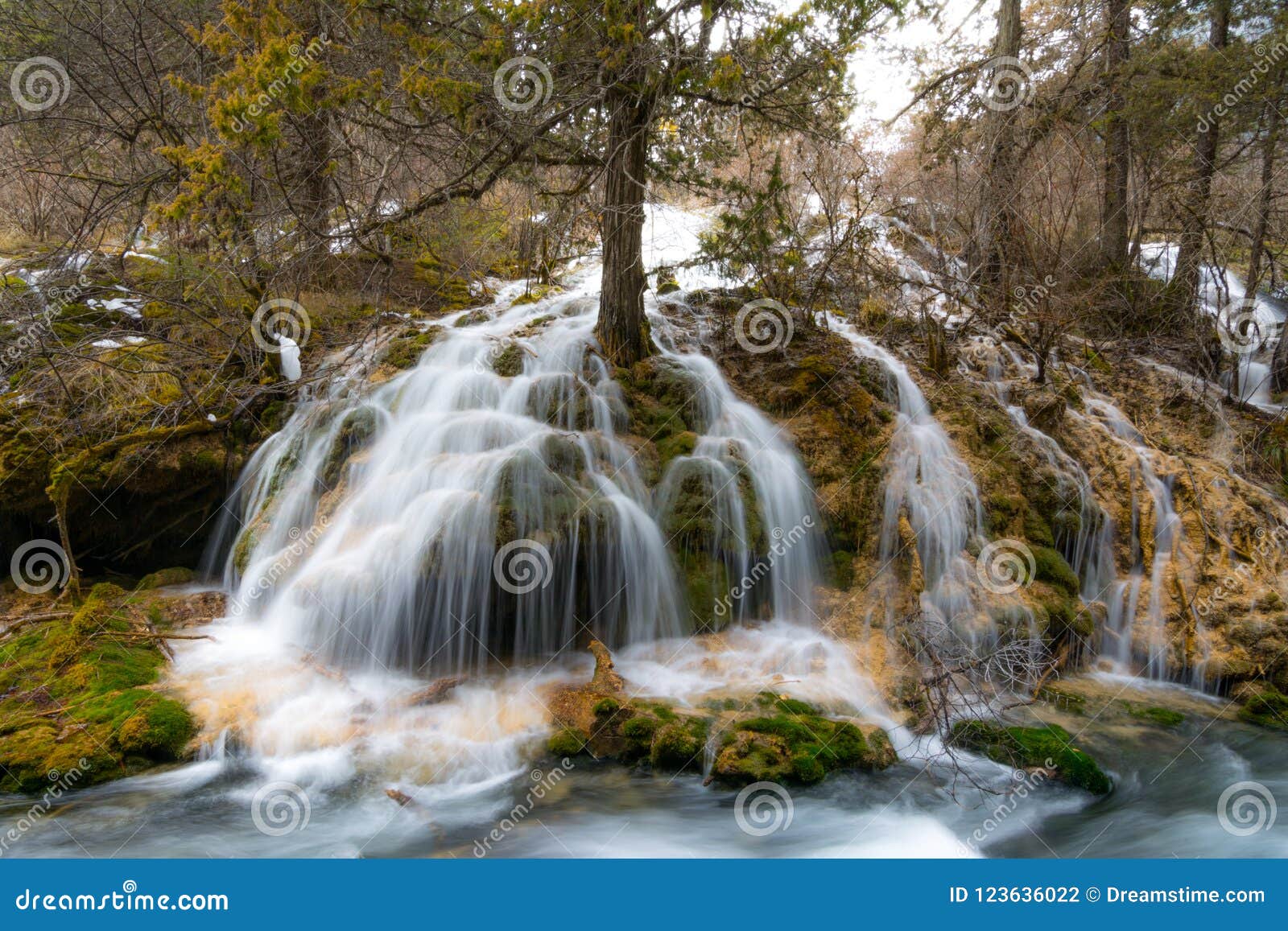 Waterfall from a Cliff in the Forest Stock Photo - Image of branch ...