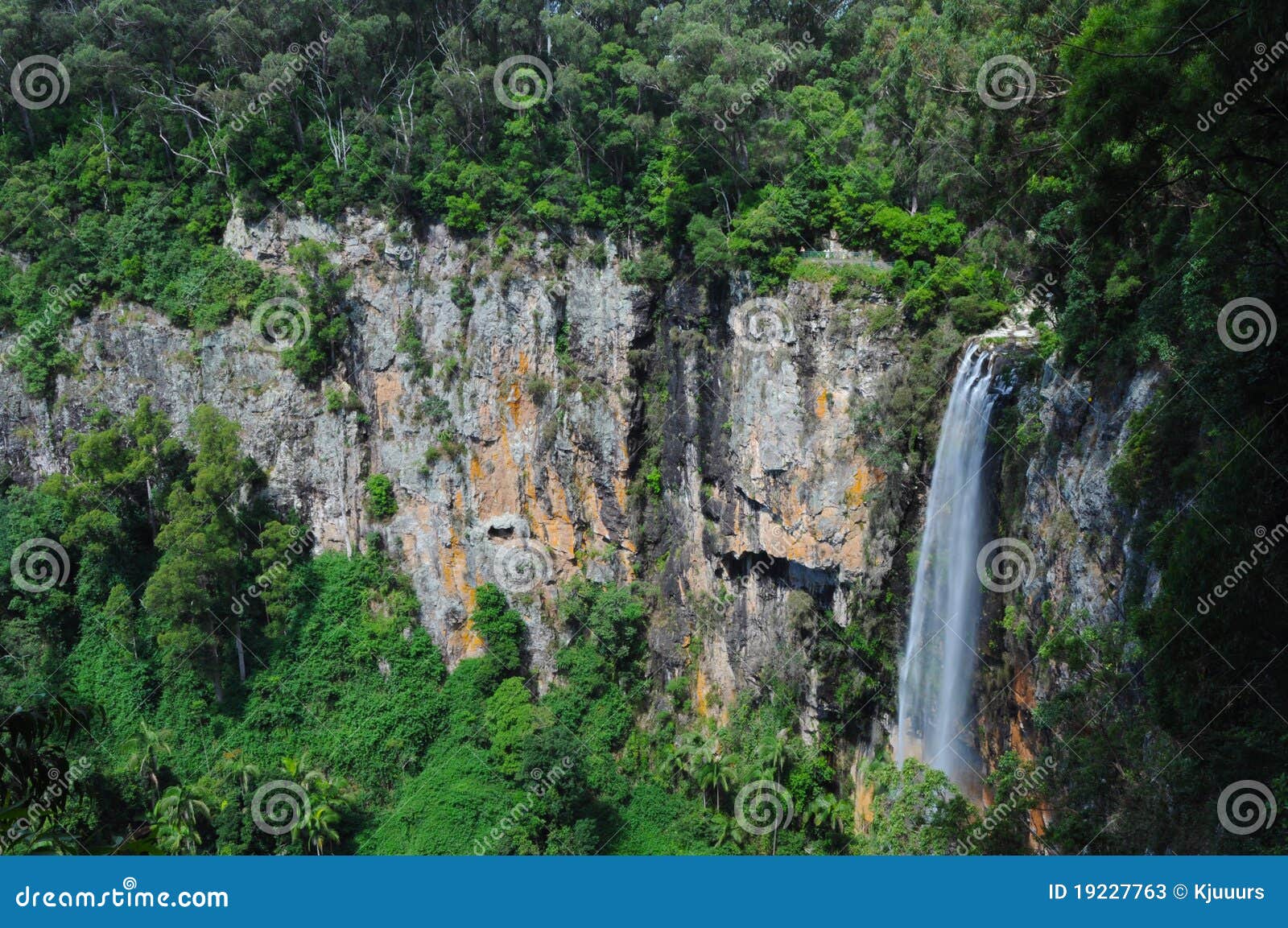 Waterfall and Cliffs, Springbrook, Australia Stock Image - Image of ...