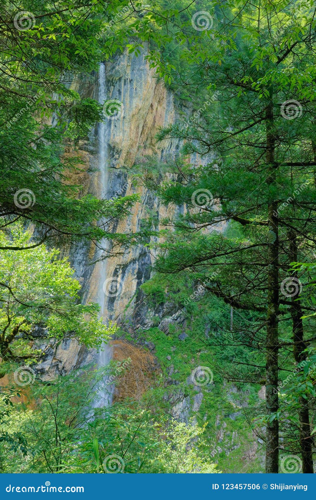 Waterfall stock photo. Image of pine, waterfall, water - 123457506