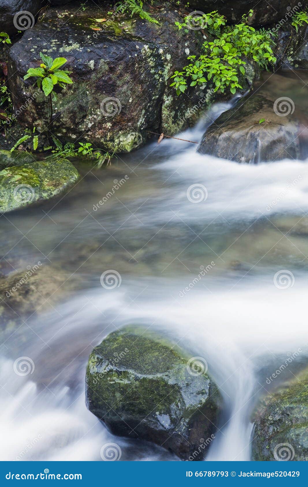 Waterfall stock image. Image of clean, beautiful, freshness - 66789793