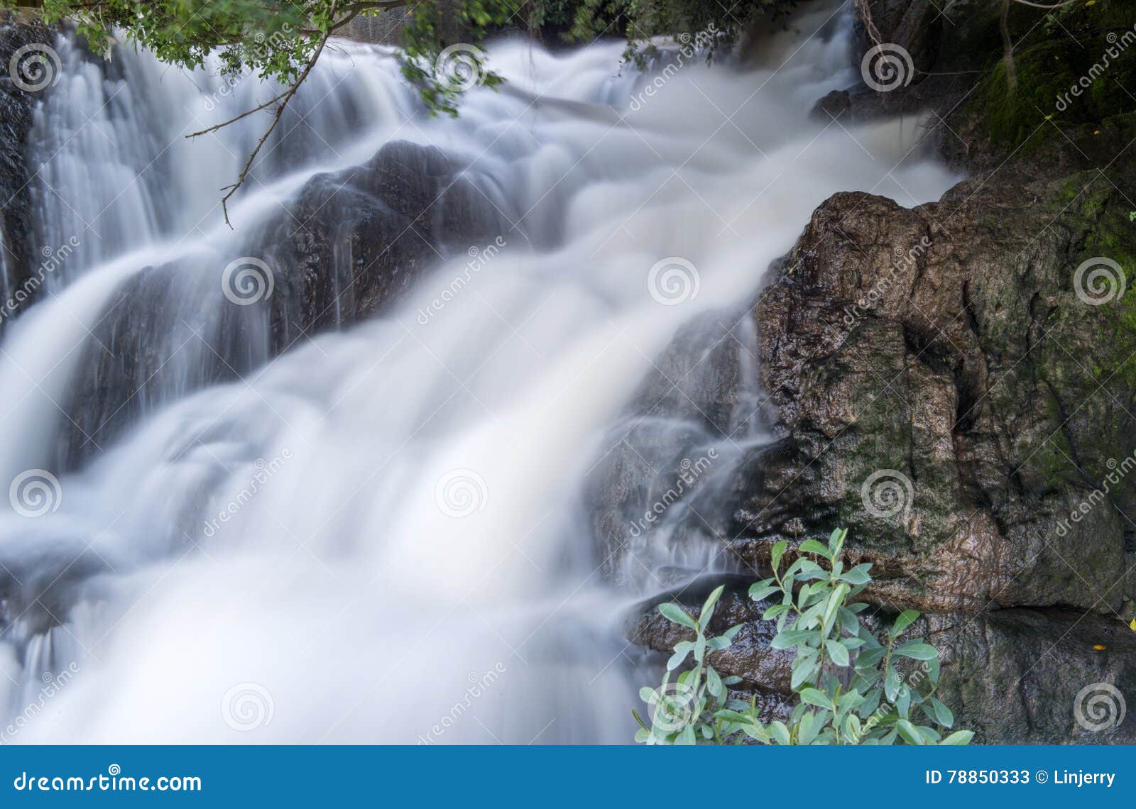 Waterfall closeup stock image. Image of outdoor, abstract - 78850333
