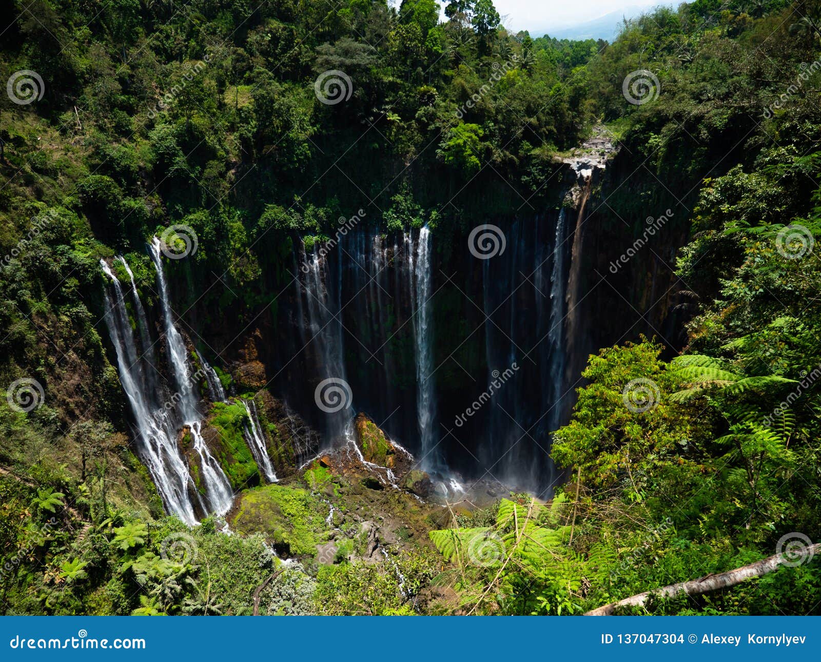 Waterfall Coban Sewu Java Indonesia Stock Photo - Image of palm, plant ...