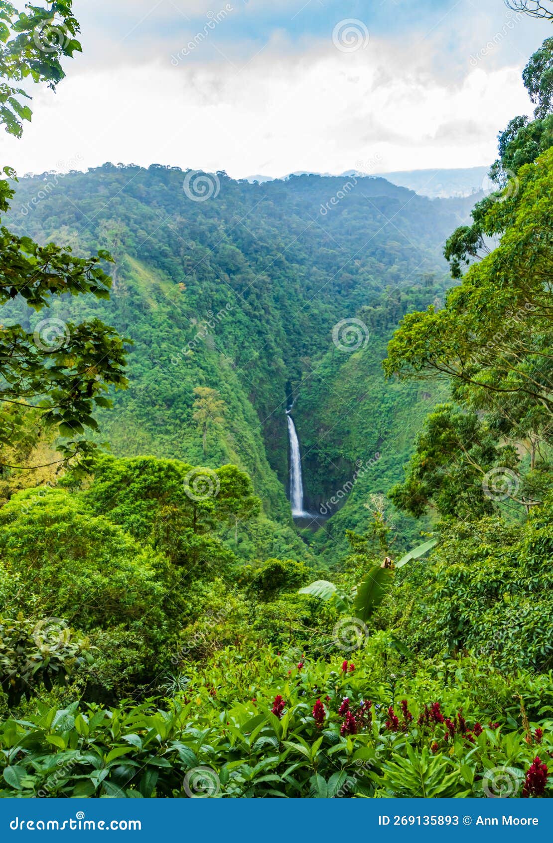 Waterfall in the Costa Rican Stock Image - Image of water, rican: 269135893