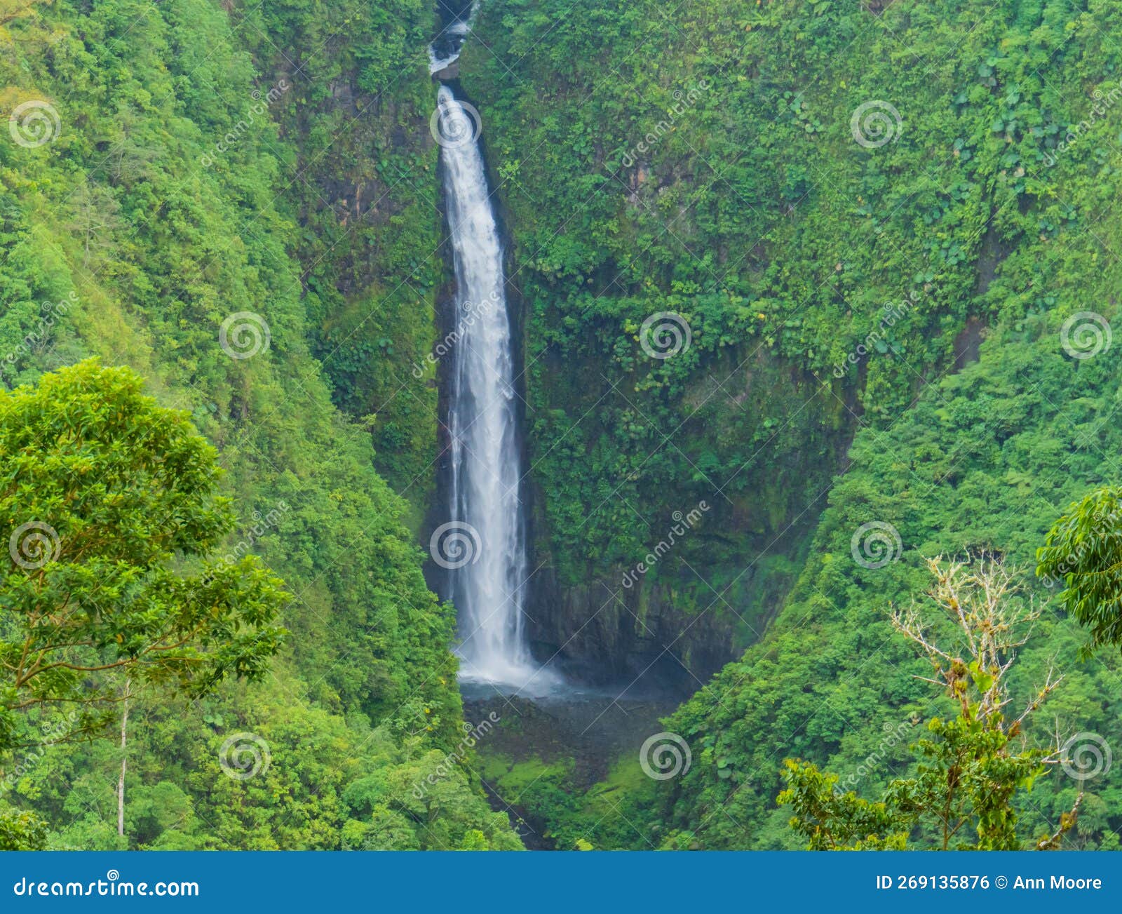 Waterfall in the Costa Rican Stock Photo - Image of blue, falling ...
