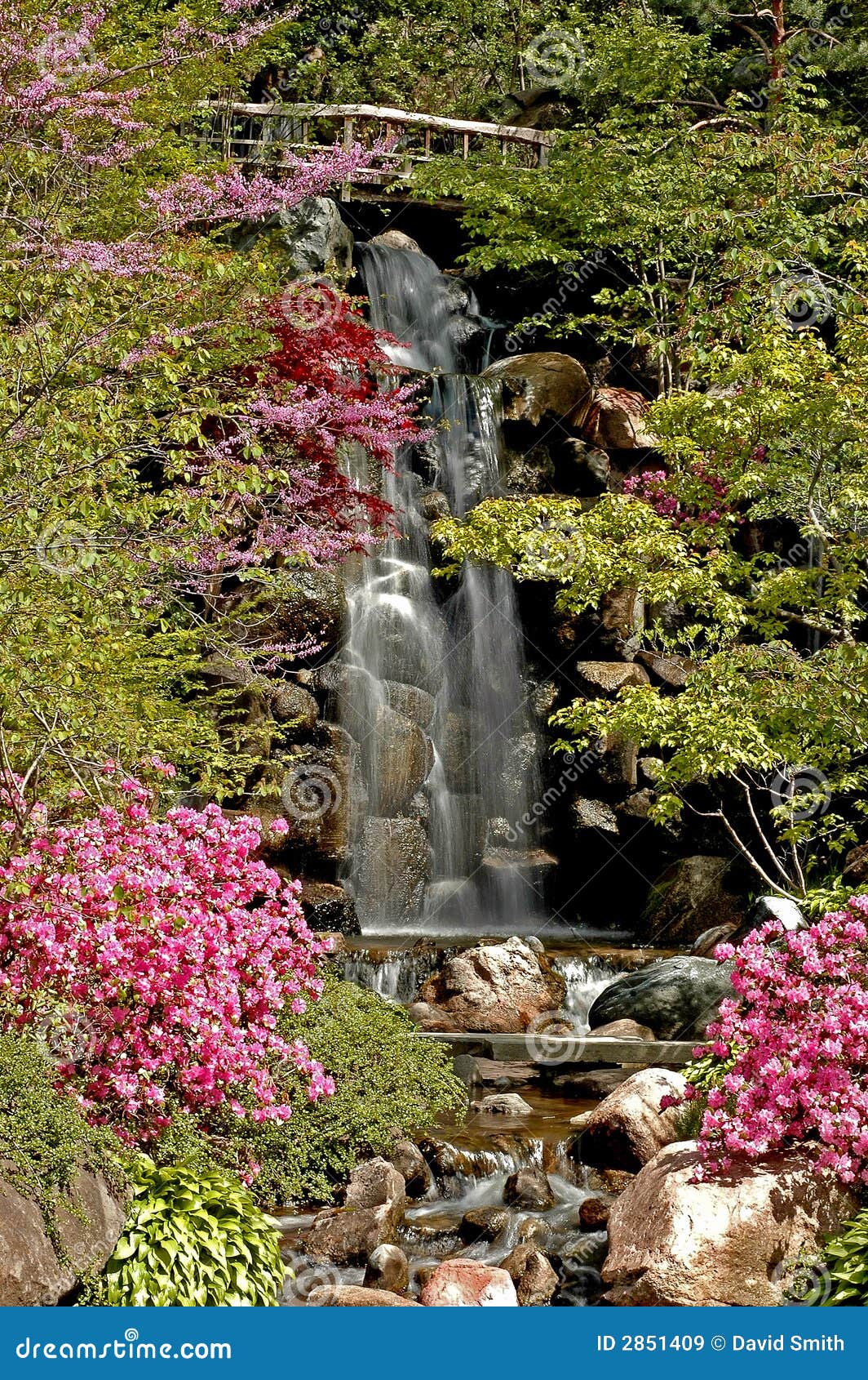Waterfall in a Country Setting Stock Image - Image of plants ...
