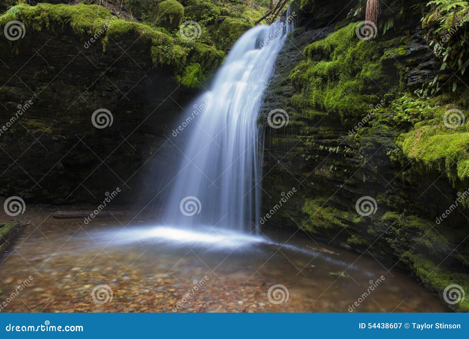 Waterfall Cove stock image. Image of small, grow, surrounded - 54438607