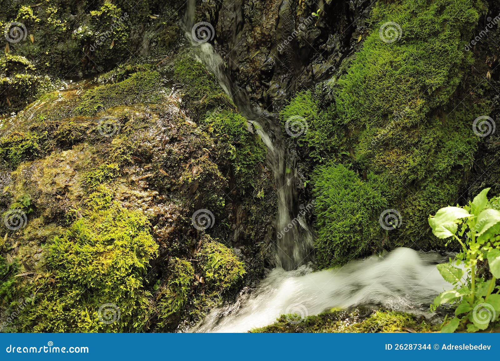 Waterfall and creek stock photo. Image of green, creek - 26287344