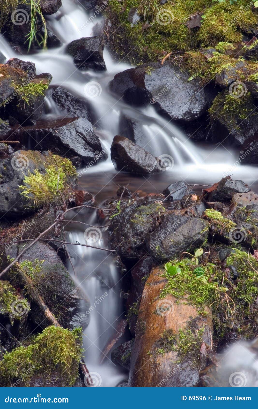 Waterfall in creek. stock photo. Image of rocks, river, moss - 69596