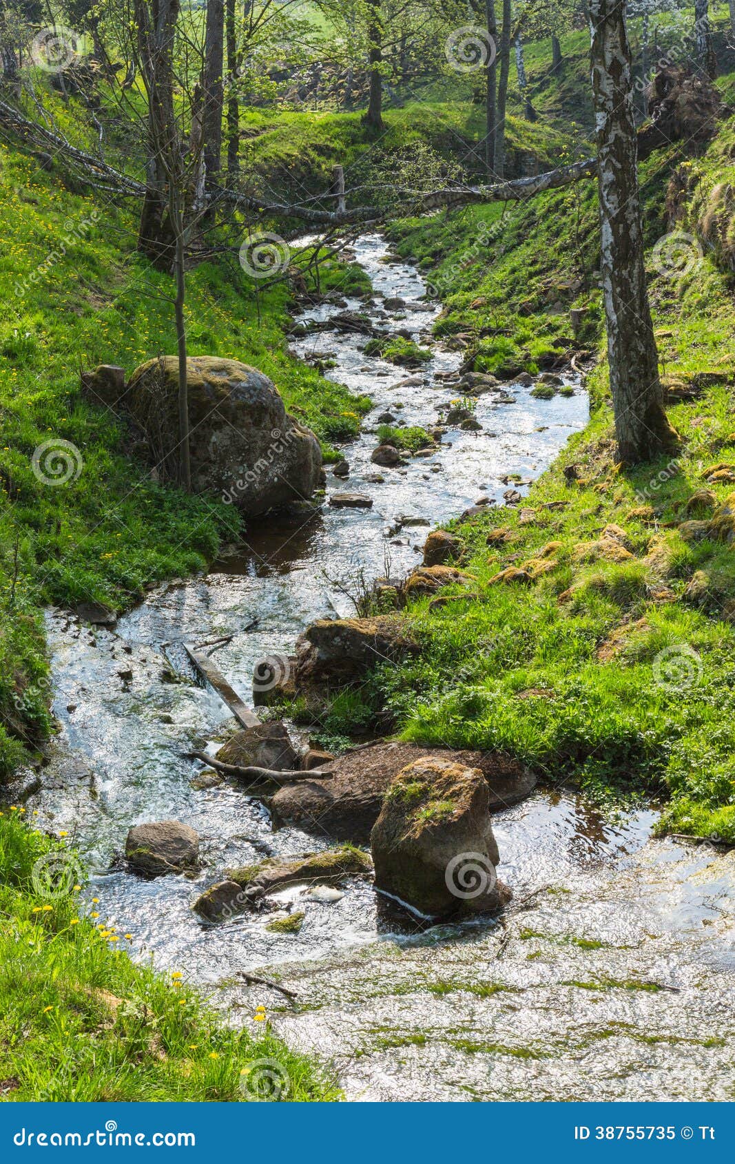 Waterfall with a creek stock image. Image of meander - 38755735