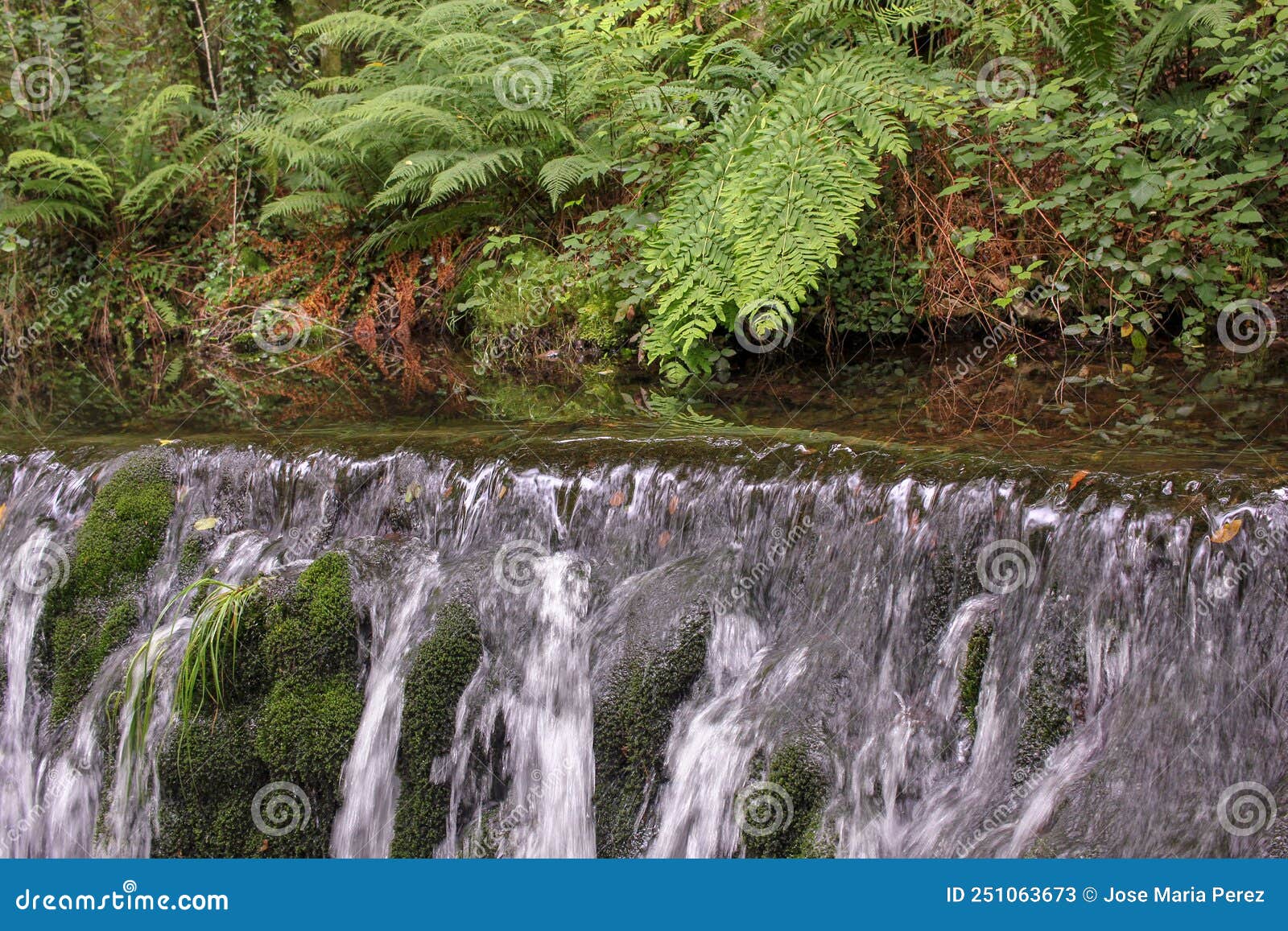 Waterfall in a Creek in Nature Stock Image - Image of green, light ...