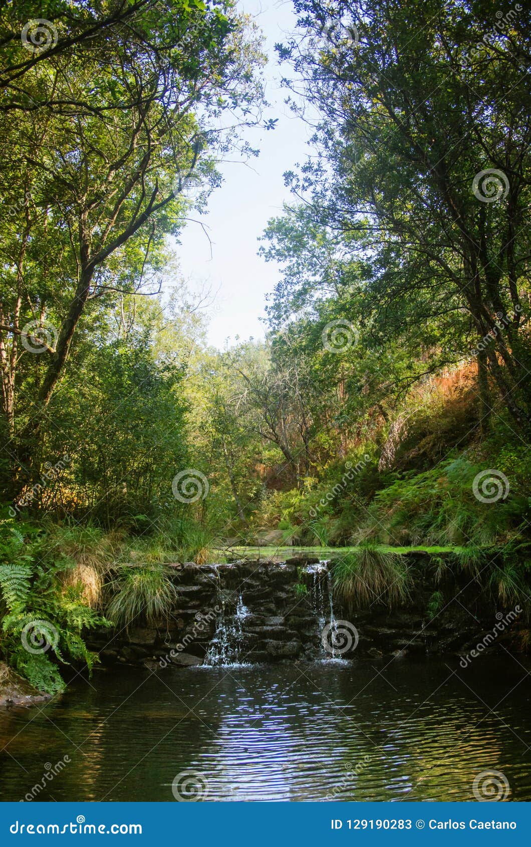 Waterfall Creek stock image. Image of natural, fresh - 129190283