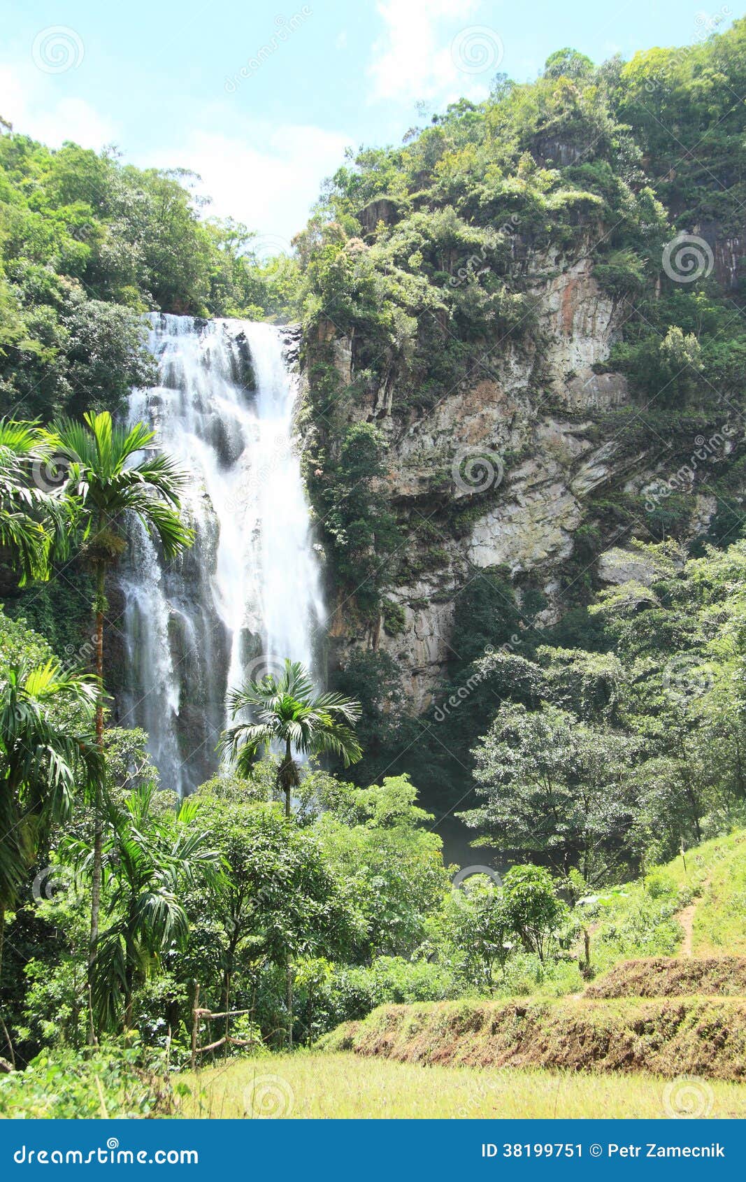 Waterfall Cunca Rami stock image. Image of tree, palmtree - 38199751