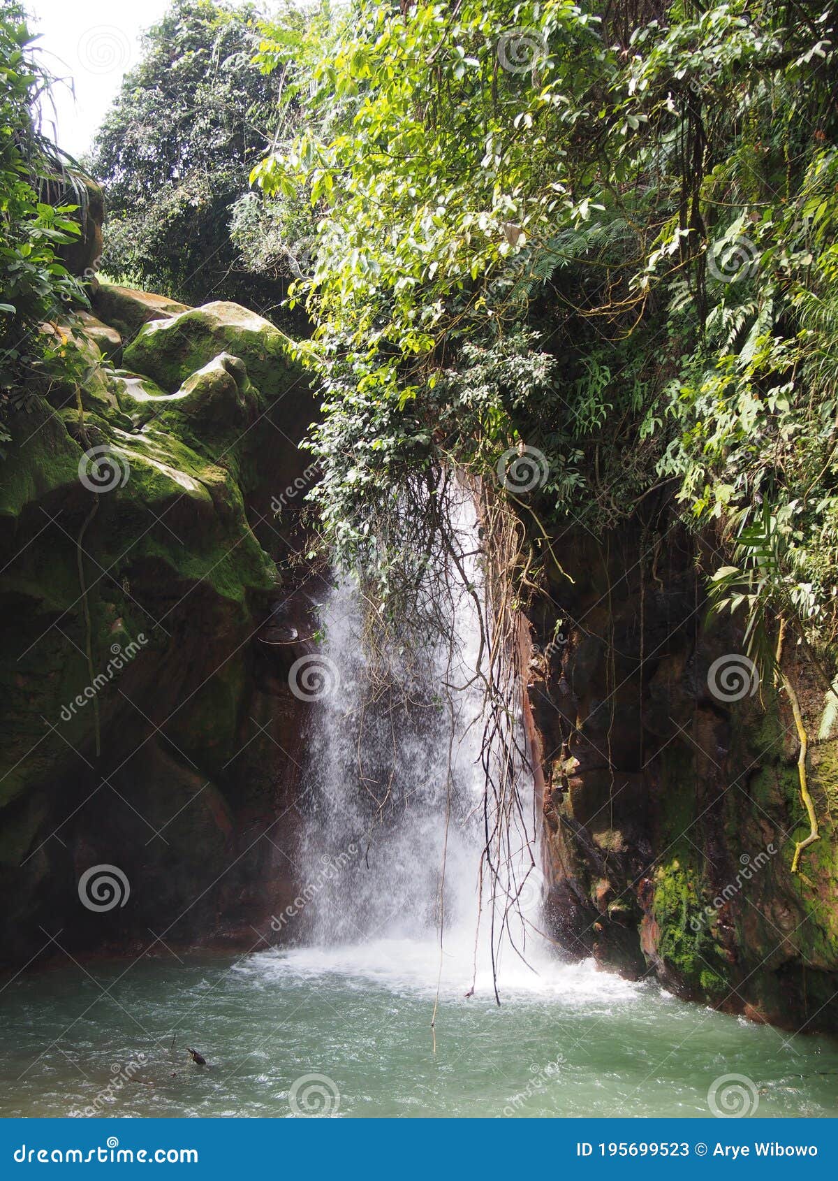 Waterfall Curug Luhur Indonesia Stock Image | CartoonDealer.com #217511299