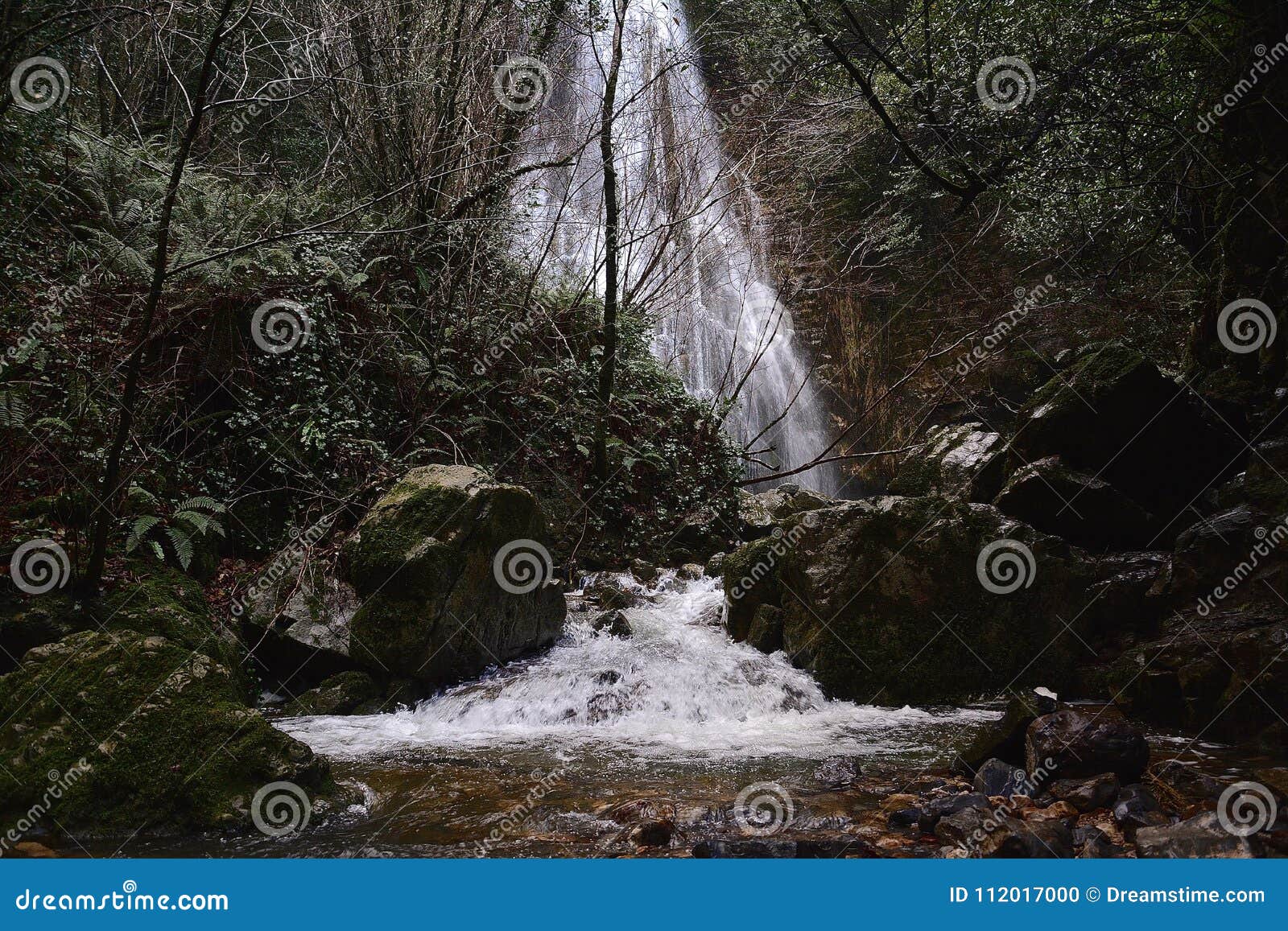 Waterfall into the Dark Forest Stock Photo - Image of hills ...